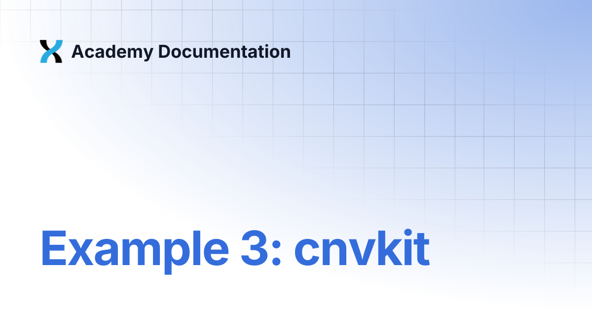 Example 3: cnvkit | Academy Documentation